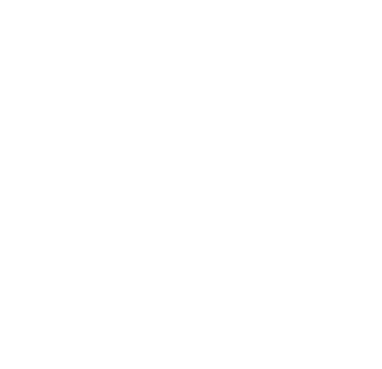 Présentation de Gannat - Mairie de Gannat